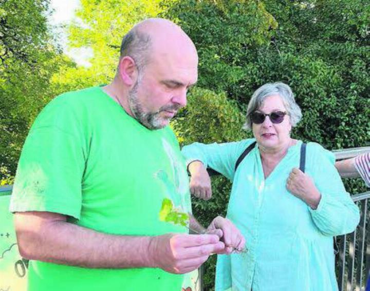 Die Kraft der Baumwurzel